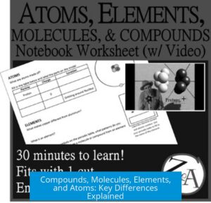 Compounds, Molecules, Elements, and Atoms: Key Differences Explained ...