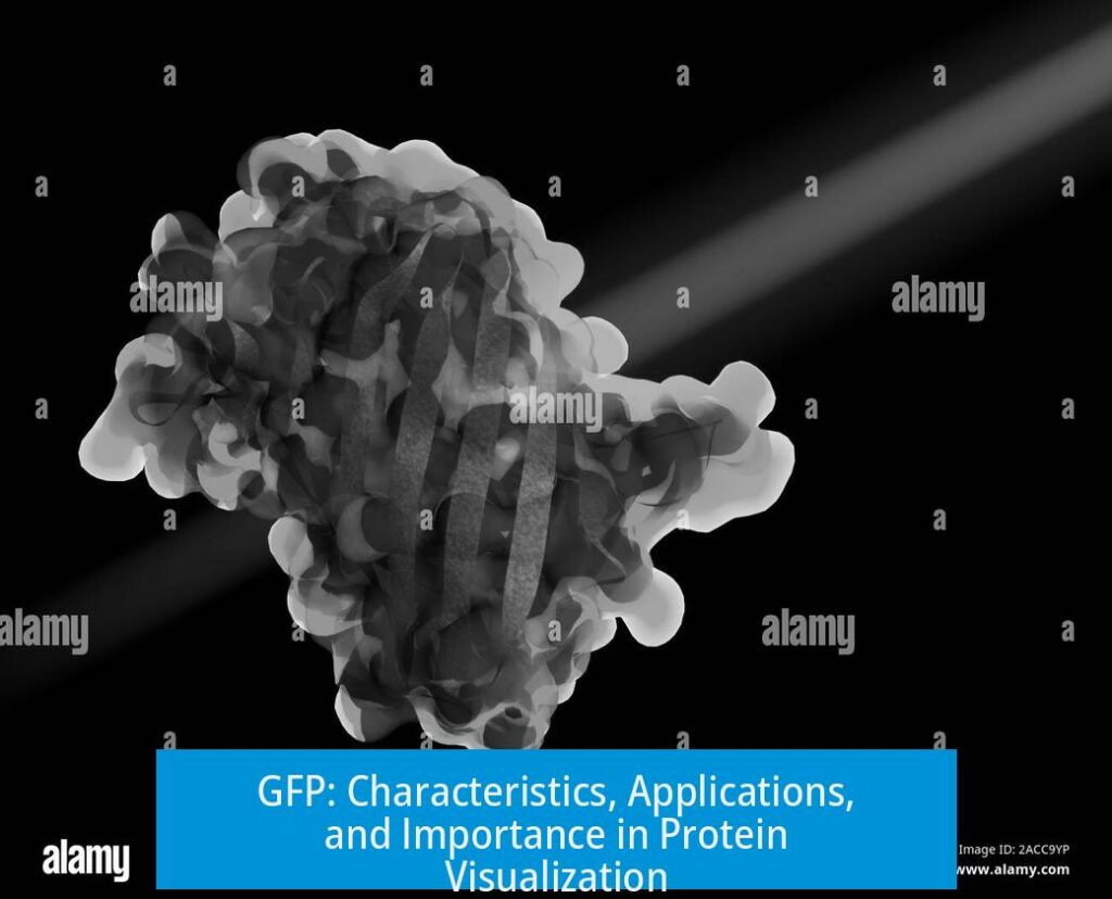 GFP: Characteristics, Applications, and Importance in Protein ...