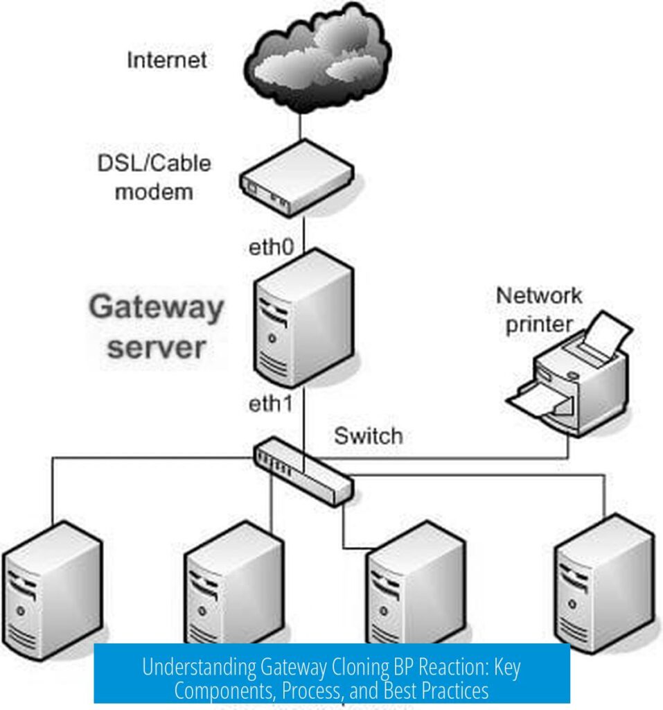 Understanding Gateway Cloning BP Reaction: Key Components, Process, and ...