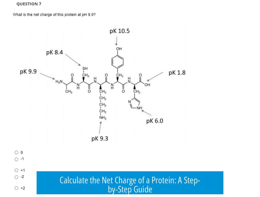 Calculate the Net Charge of a Protein: A Step-by-Step Guide – ChemCafe ...