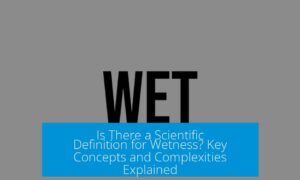Is There a Scientific Definition for Wetness? Key Concepts and ...