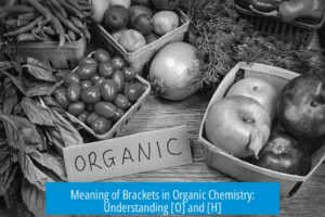 Meaning of Brackets in Organic Chemistry: Understanding [O] and [H ...