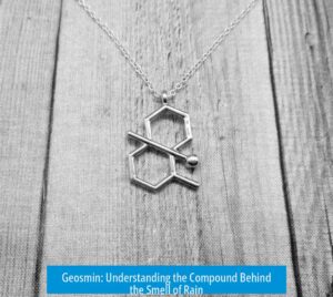 Geosmin: Understanding the Compound Behind the Smell of Rain – ChemCafe ...