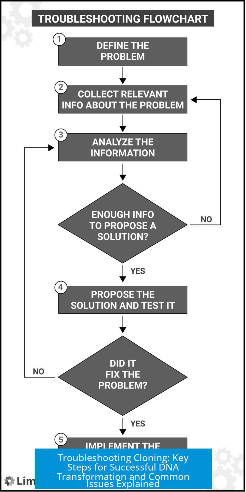 Troubleshooting Cloning: Key Steps for Successful DNA Transformation ...