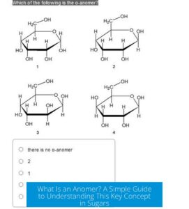 What Is an Anomer? A Simple Guide to Understanding This Key Concept in ...