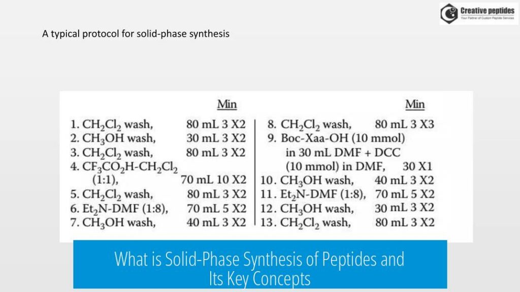 What is Solid-Phase Synthesis of Peptides and Its Key Concepts ...