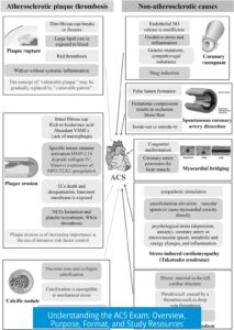 Understanding the ACS Exam: Overview, Purpose, Format, and Study ...