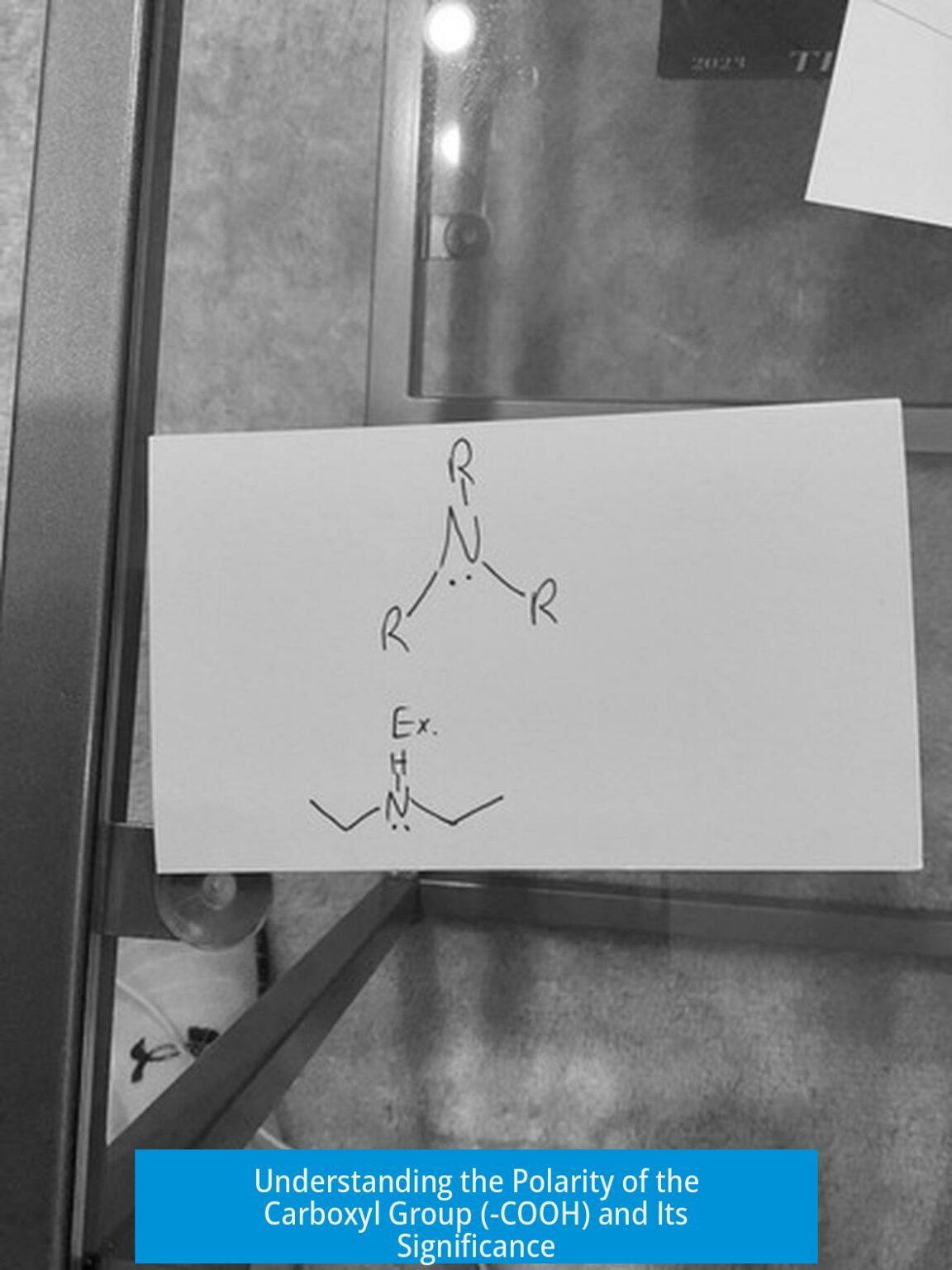 Understanding the Polarity of the Carboxyl Group (-COOH) and Its ...